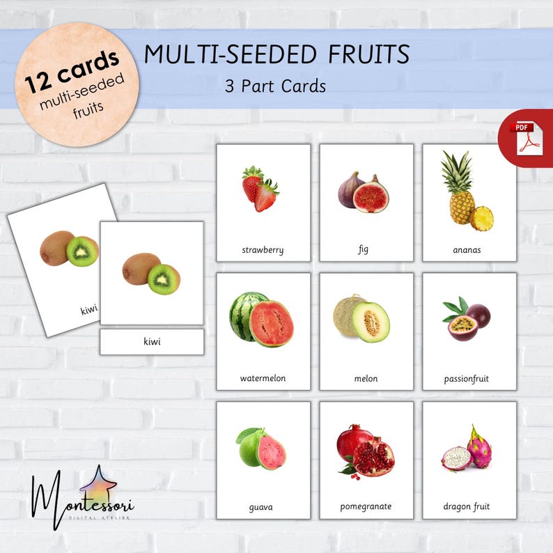 Montessori Fruits Flashcards: Multi-seed Botany 3-part Cards (PDF ...