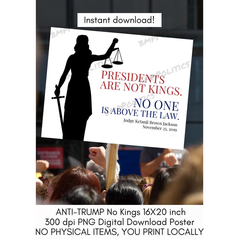 No Kings Protest Signs - Etsy