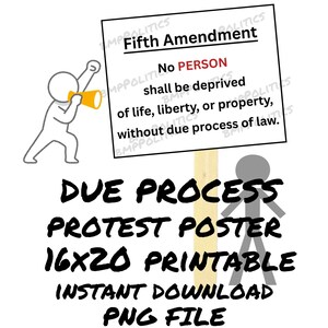 Due Process Fifth Amendment Instant Download Poster Printable Anti ...