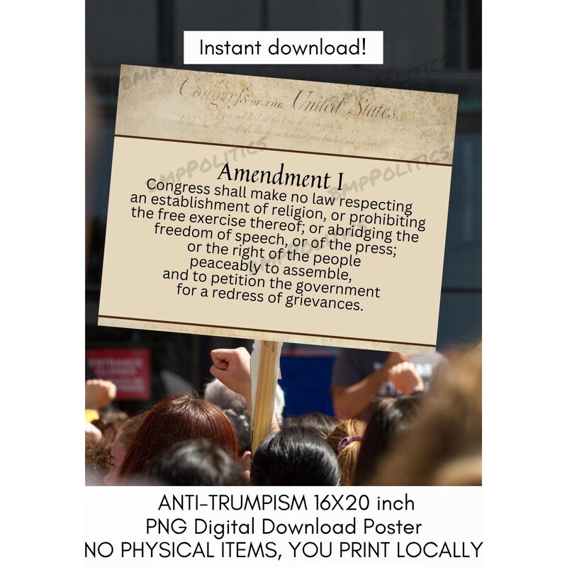 Bill of Rights Poster - Etsy