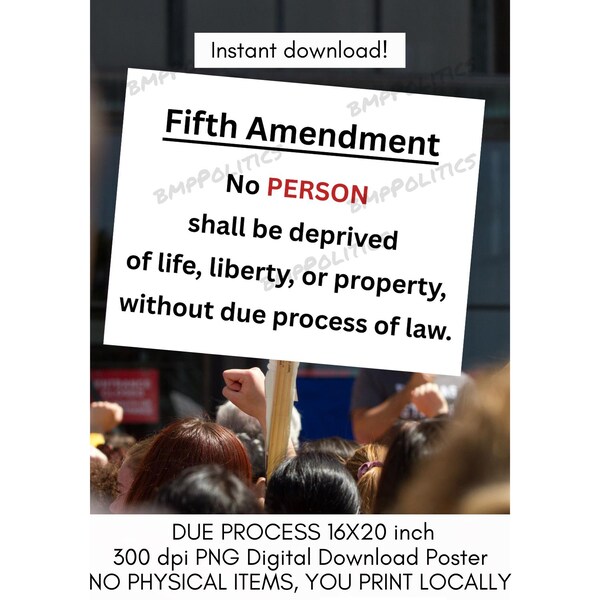 Due Process Protest Signs - Etsy