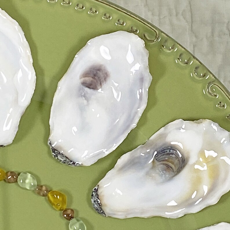 Oyster Plate Wall Clock - Sage Green - Etsy