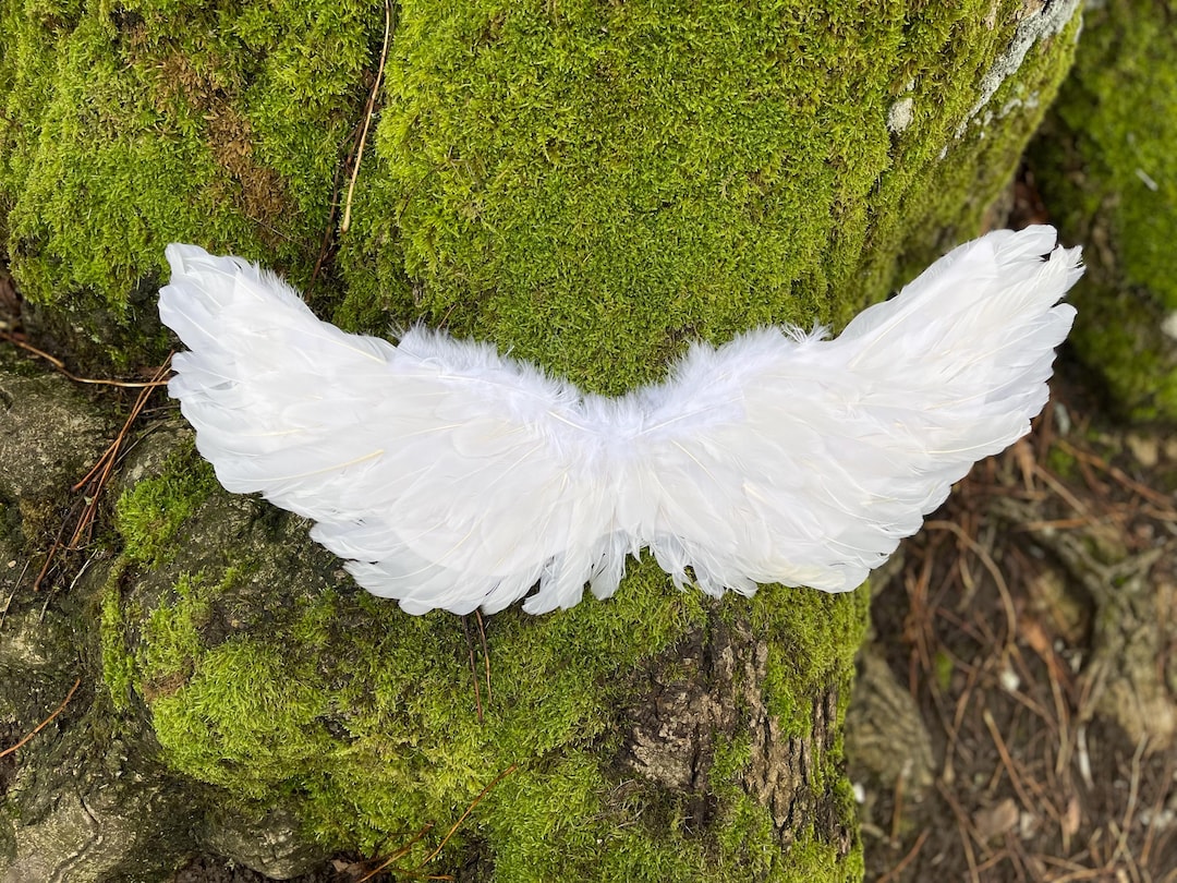 Real Feather Angel Wings for Children. Perfect for Nativity Costumes ...