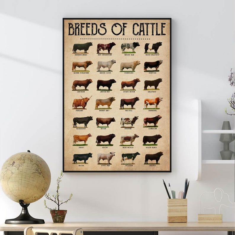 Breeds of Cattle Poster Png File, Cattle Printable, Cattle Art, Cattle ...