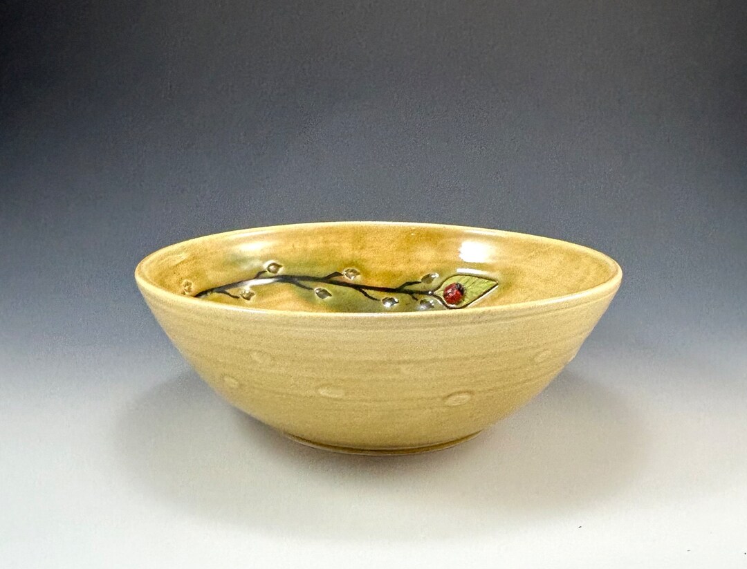 Salad Bowl Ladybug Medium Bowl Serving Bowl Porcelain - Etsy
