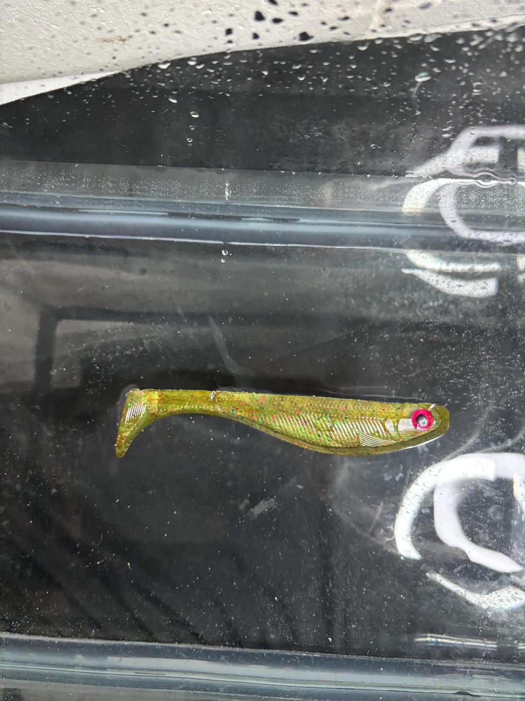 Watermelon Green Splashy Swimmer- 6 Inches- 2 per Pack - Etsy
