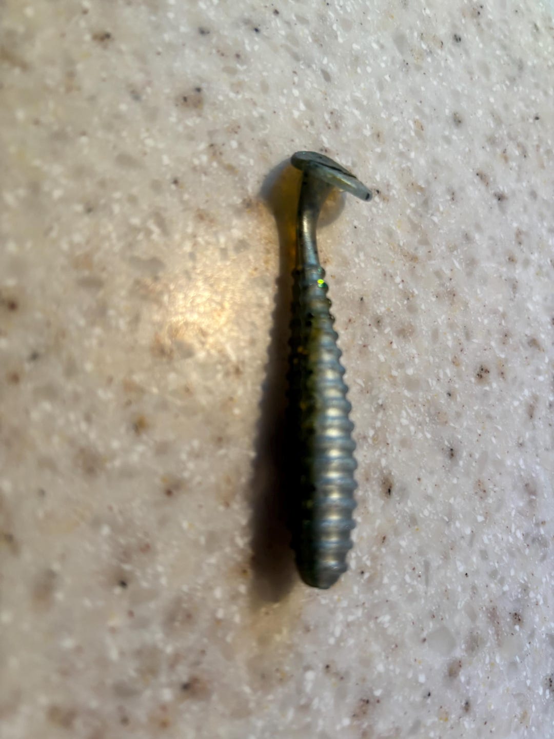 3.5 Inch Ripper Minnows- 6 in a Pack - Etsy