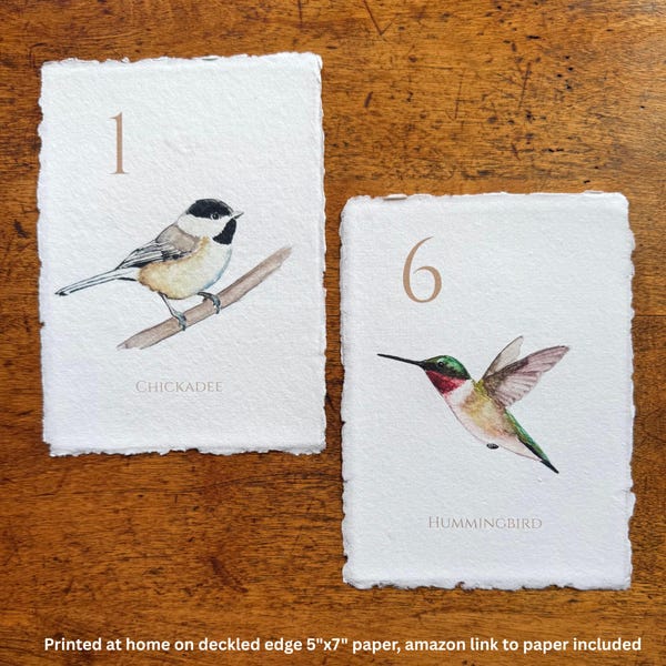 Bird Place Card - Etsy