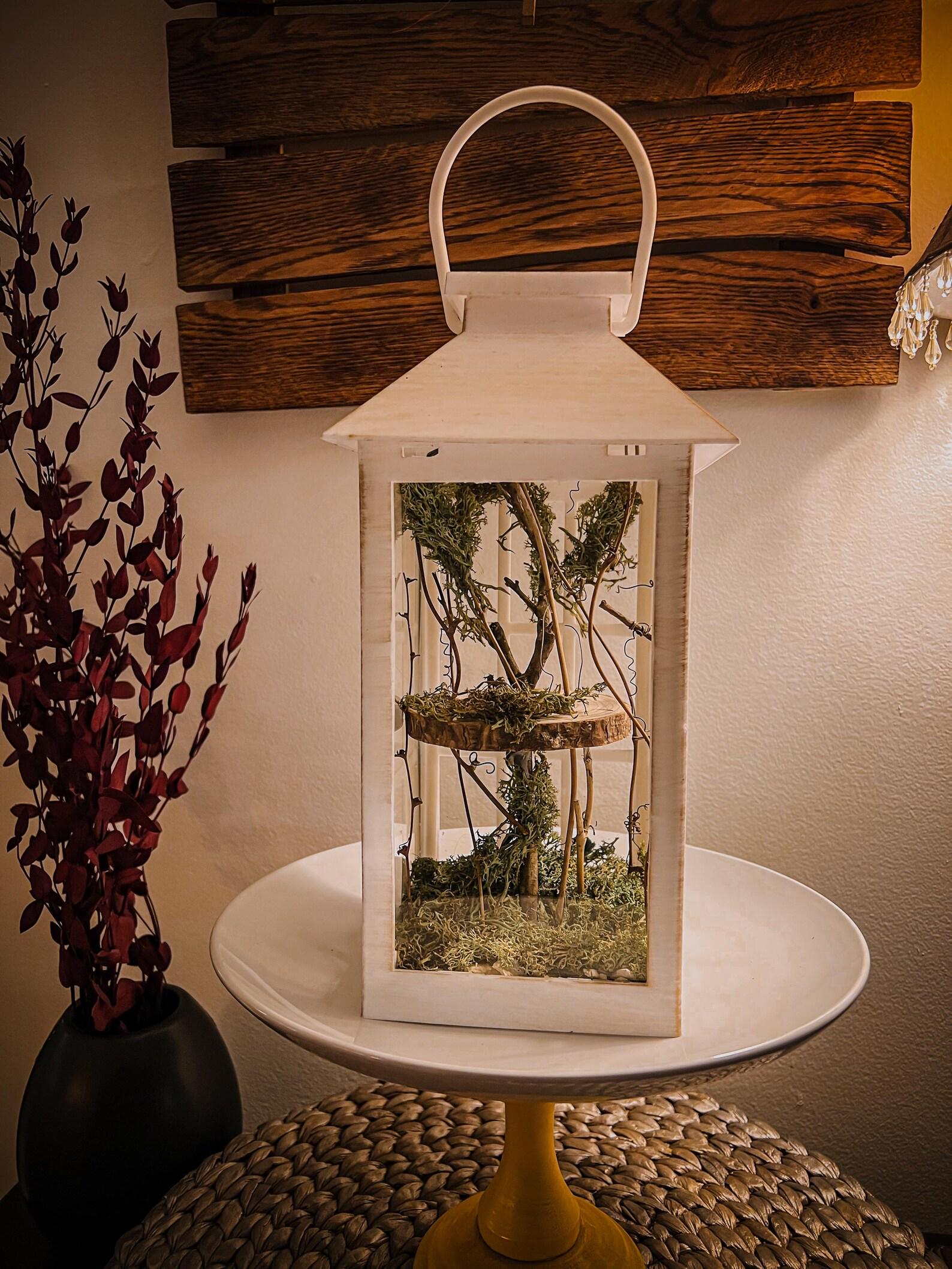 Jumping Spider Lantern Enclosure - Etsy