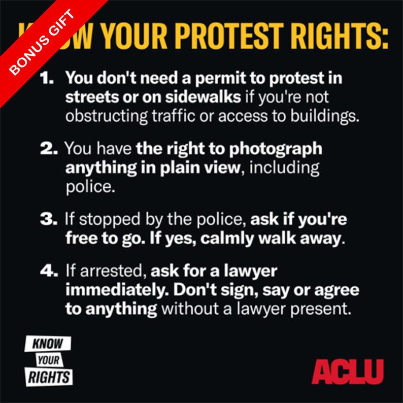 Antifa Definition 2-pack PRINTABLE Protest Posters - Etsy