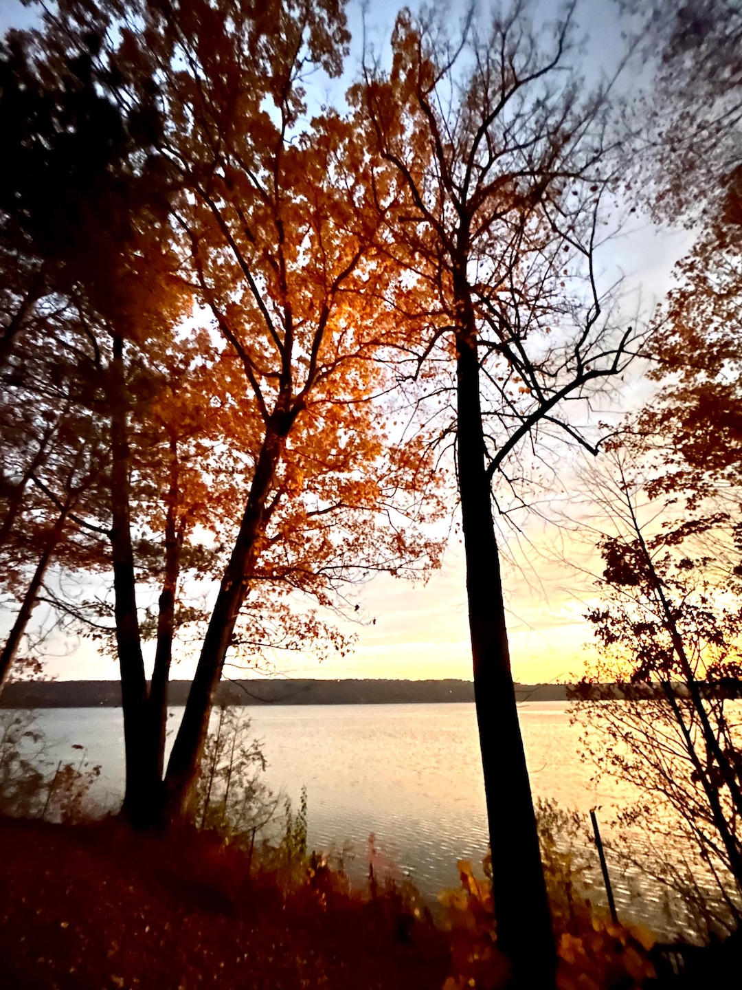 Fall in Ithaca, Trees in Sunset Photography | Giclée Fine Art Print ...
