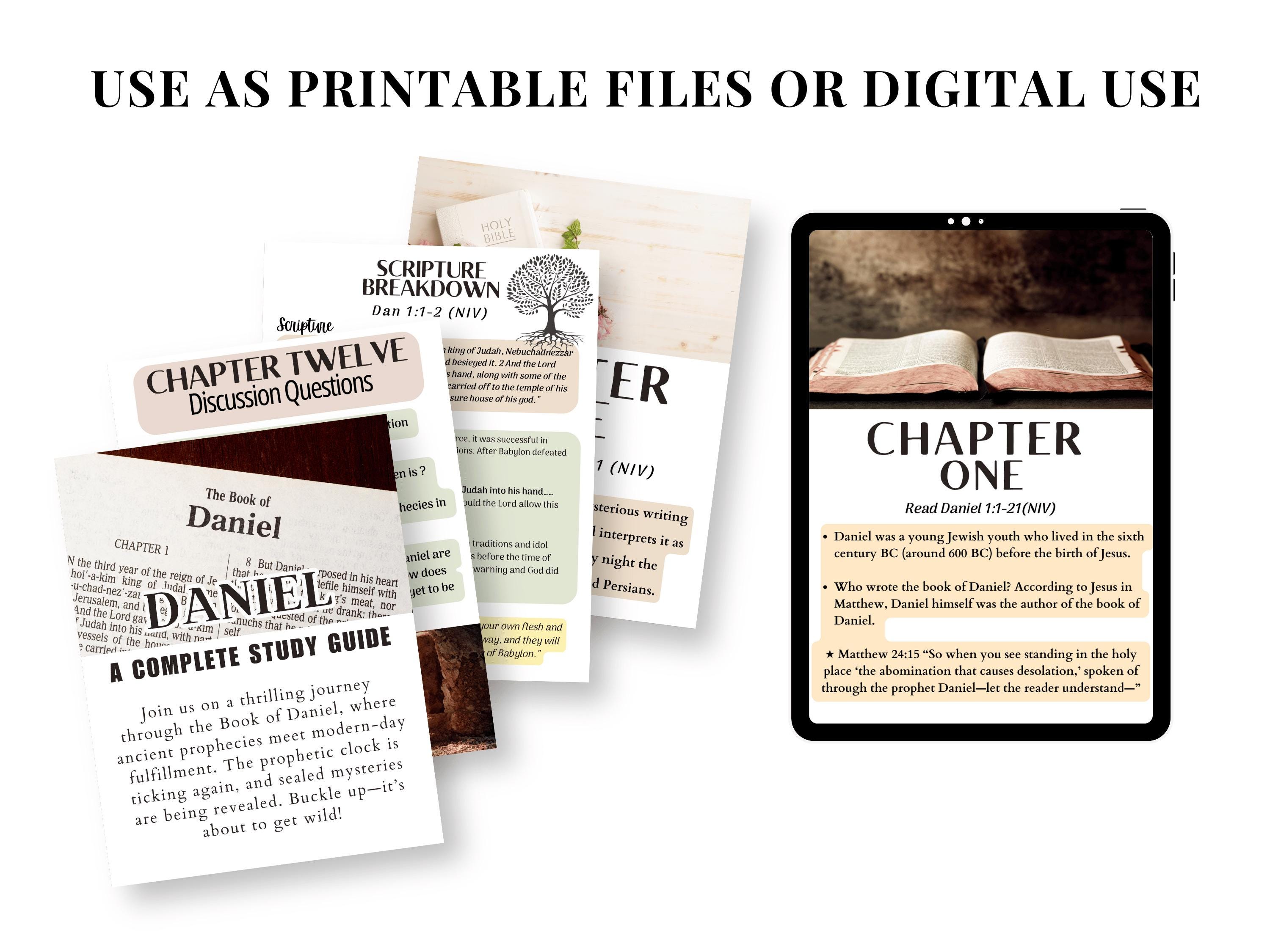 Book of Daniel Study Guide, Bible Study Guide, Comprehensive Study ...
