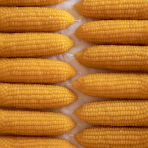 Realistic Beeswax Corn Candle - Unique Kitchen Decor - Etsy