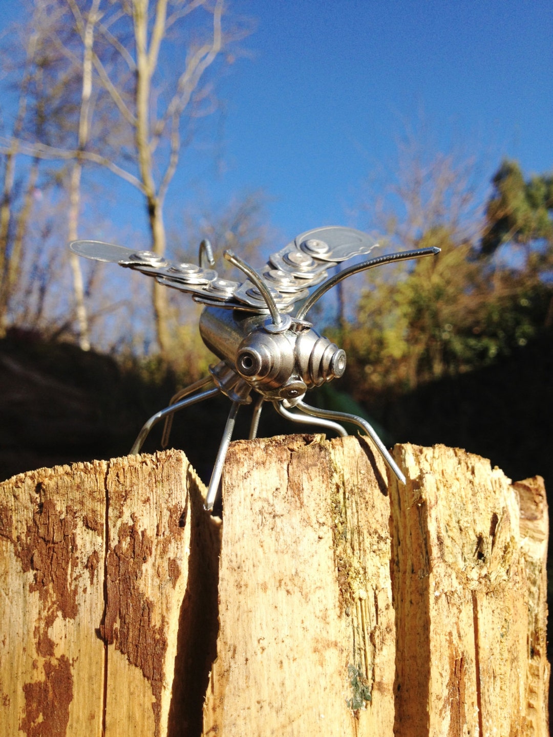 Mini Scrap Metal Bug, or 'nozbug', Recycled Metals and Rivets, Quirky ...