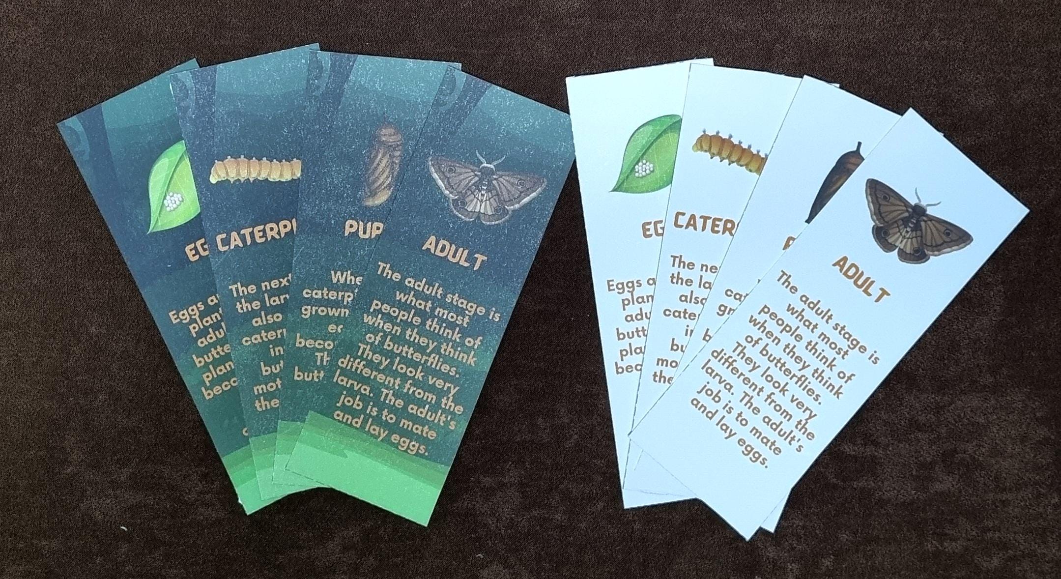 Educational Bookmarks: Solar System, Frog & Butterfly Life Cycle (32 ...