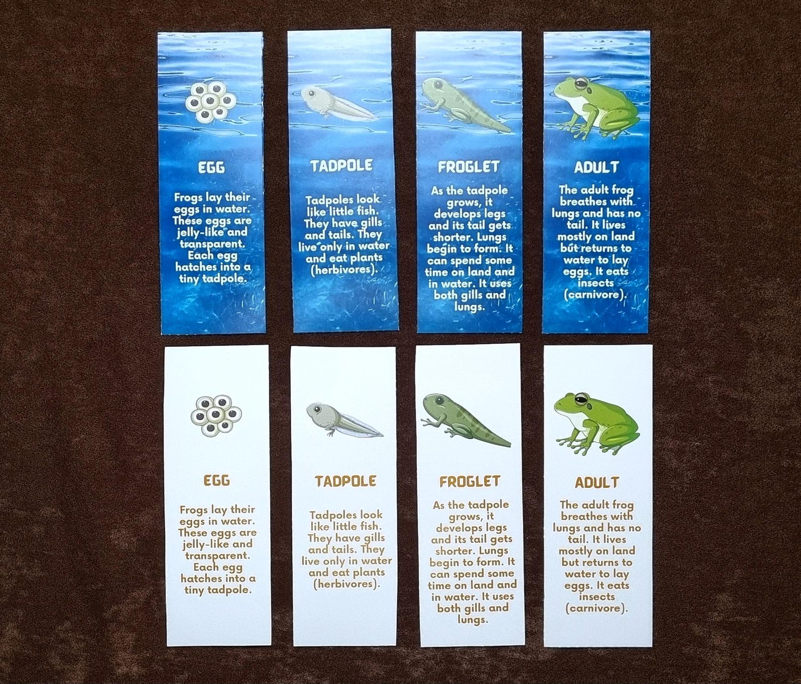 Educational Bookmarks: Solar System, Frog & Butterfly Life Cycle (32 ...