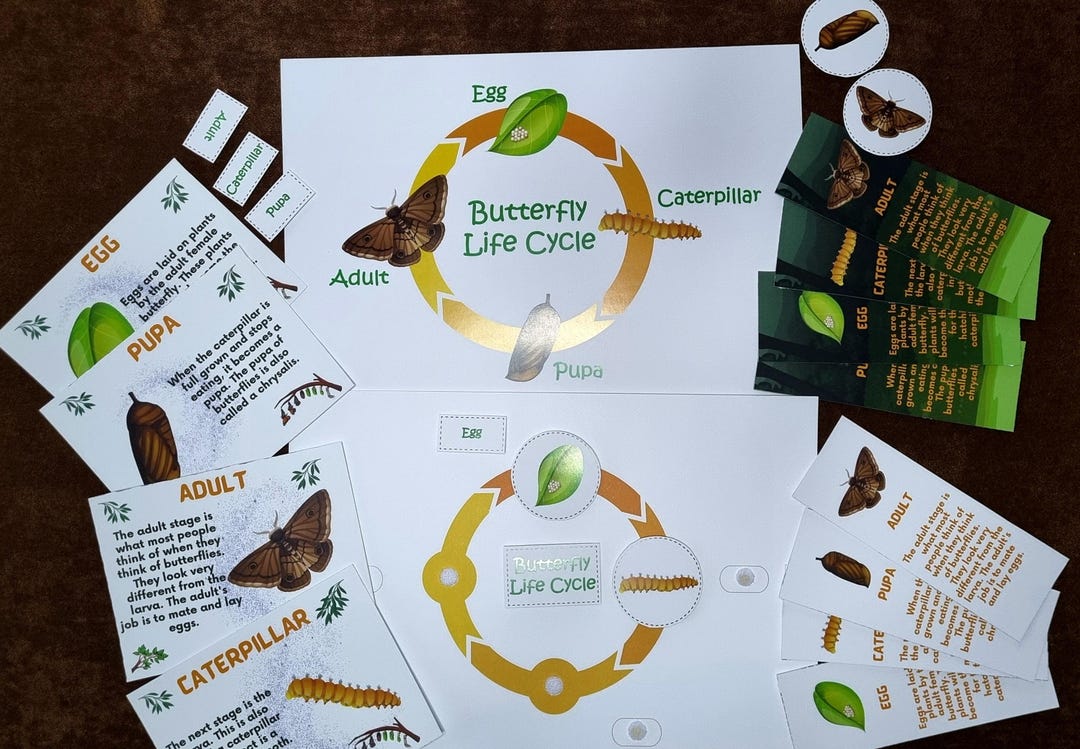 Butterfly Life Cycle Activity 8 Bookmarks Earth Day Gift for Kids ...