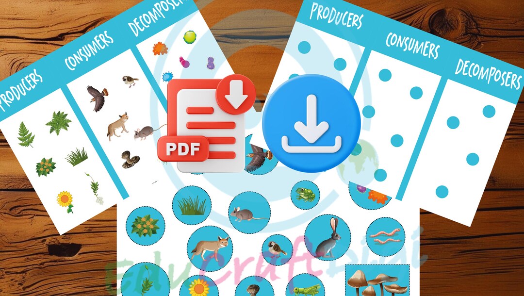 Food Chain Energy Flow Activity Cut Paste Science Activity Producer ...