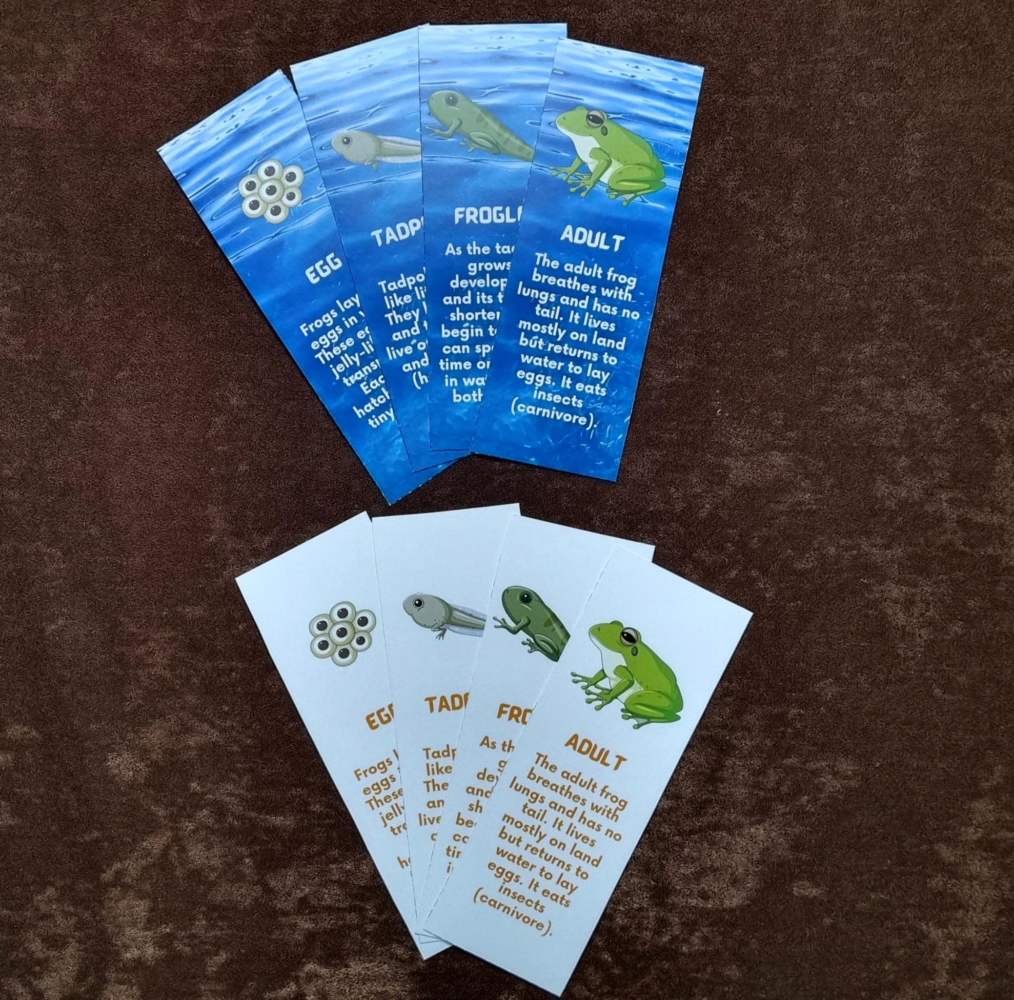 Educational Bookmarks: Solar System, Frog & Butterfly Life Cycle (32 ...