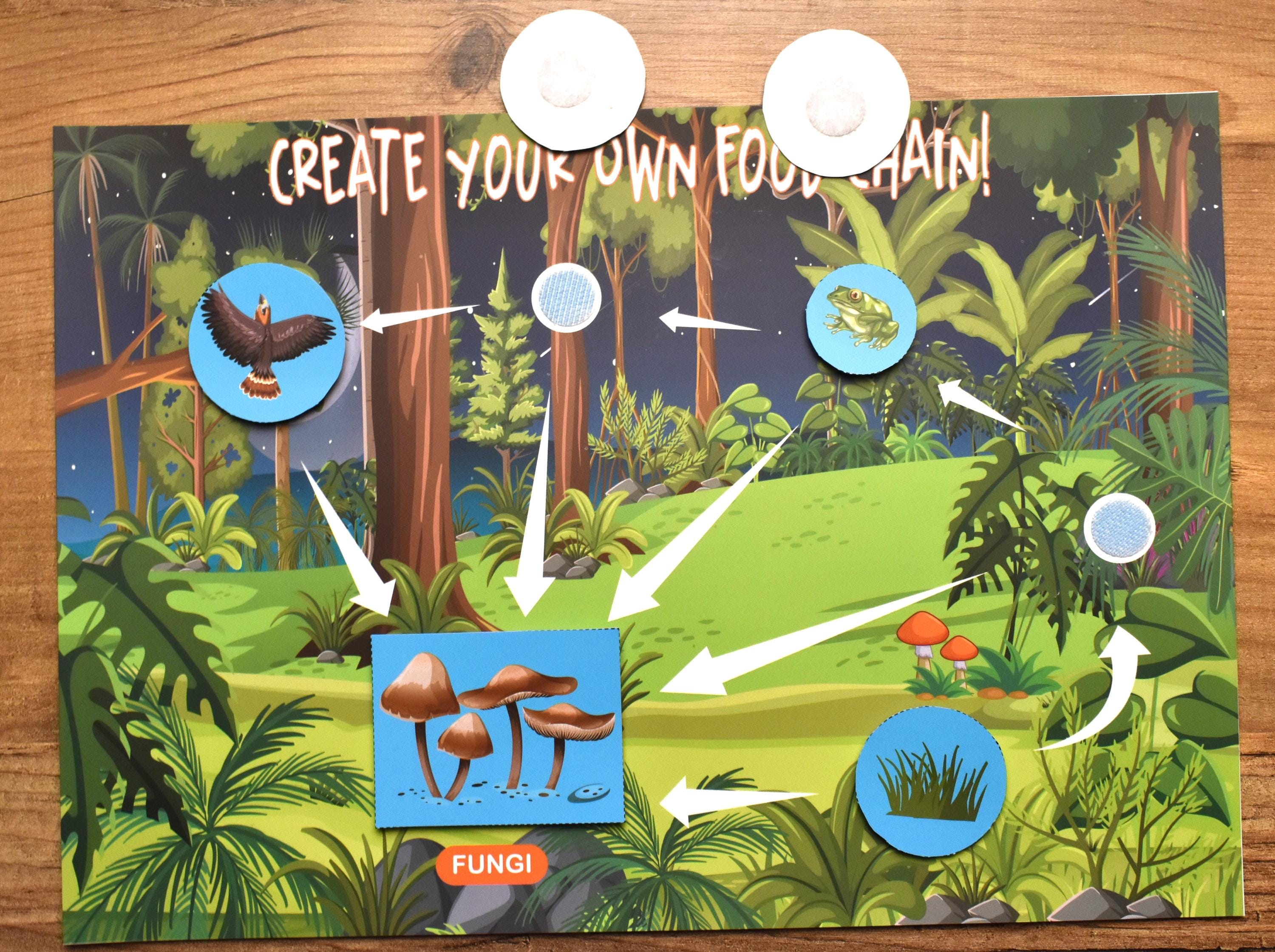 Food Chain Energy Flow Activity Cut Paste Science Activity Producer ...