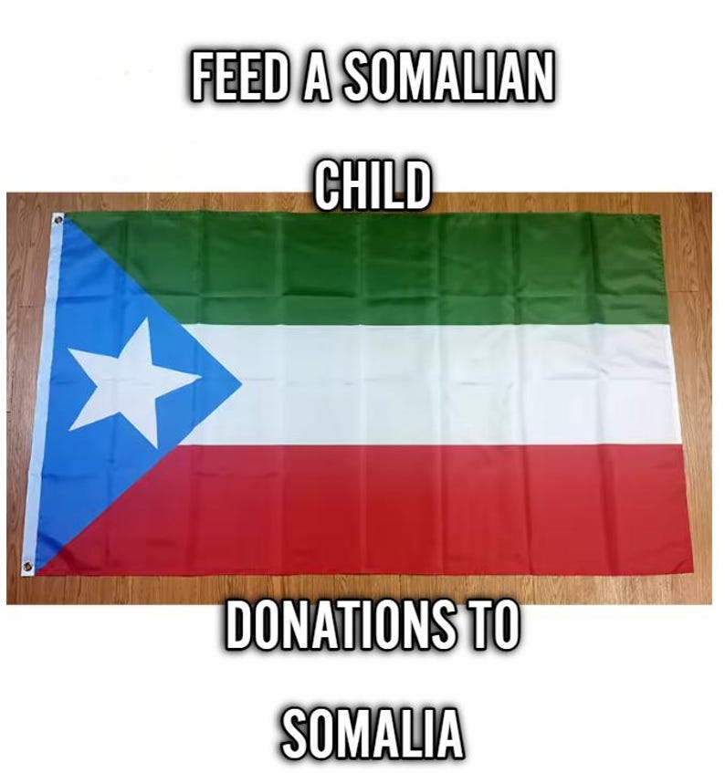 Somalia Flag 3x5 – Somali National Flag, Indoor/outdoor Use - Etsy