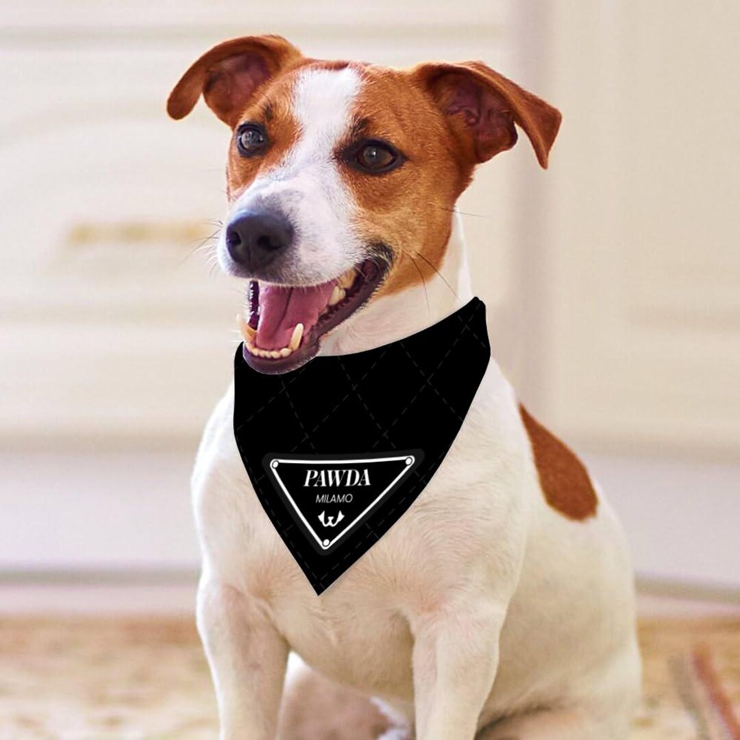 PAWDA Dog Bandana, Black Design Dog Bandana, Premium Quality Dog ...