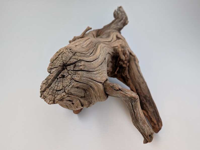 Manzanita Driftwood Stump for Aquariums, Reptile Tanks, Terrariums ...