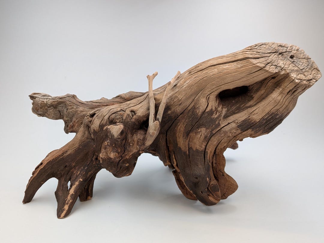 Manzanita Driftwood Stump for Aquariums, Reptile Tanks, Terrariums ...