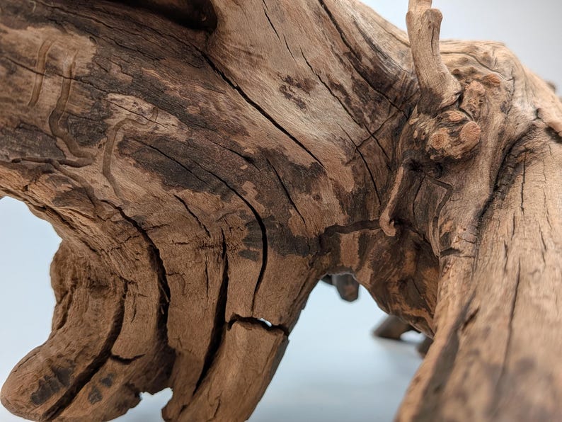 Manzanita Driftwood Stump for Aquariums, Reptile Tanks, Terrariums ...