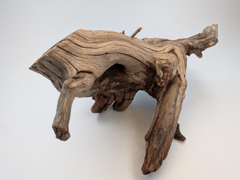 Manzanita Driftwood Stump for Aquariums, Reptile Tanks, Terrariums ...
