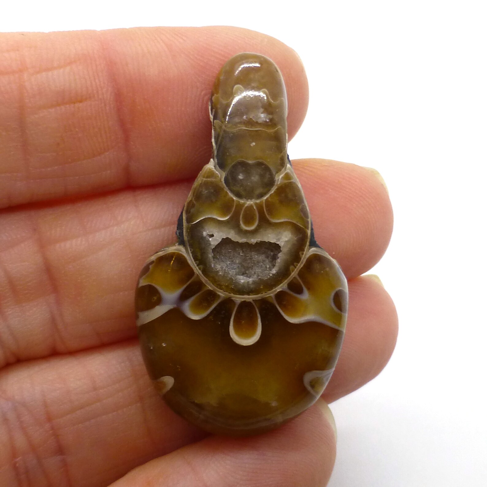 50.295 Carats Sphenodiscus Lenticularis Oak Leaf Agate Druzy Cabochon ...