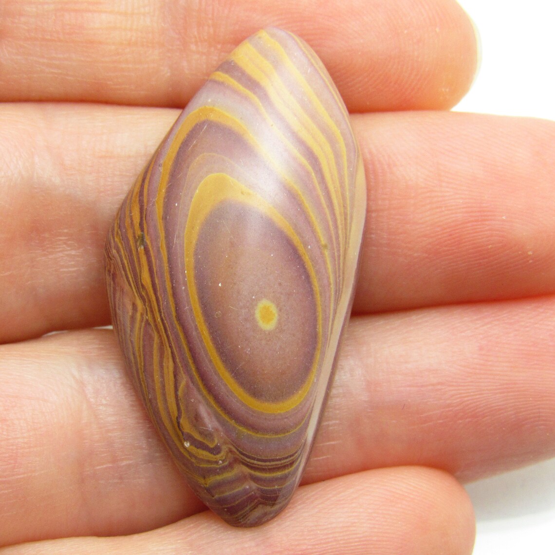 Rainbow Hickoryite Rainbow Rhyolite Hickory Woodgrain Gemstone | Etsy