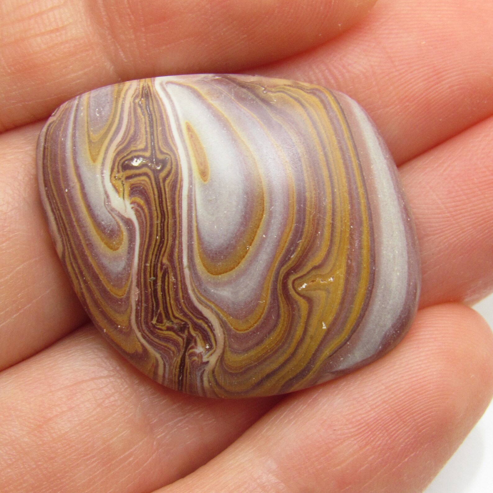 Rainbow Hickoryite Rainbow Rhyolite Hickory Woodgrain Gemstone - Etsy