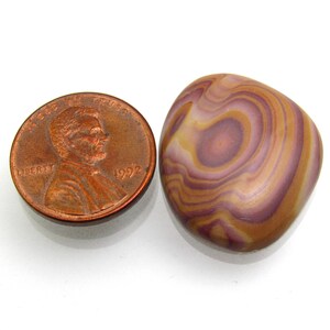 Rainbow Hickoryite Rainbow Rhyolite Hickory Woodgrain Gemstone - Etsy