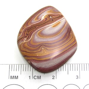Rainbow Hickoryite Rainbow Rhyolite Hickory Woodgrain Gemstone Natural ...