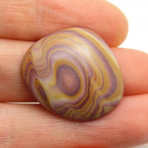 Rainbow Hickoryite Rainbow Rhyolite Hickory Woodgrain Gemstone Natural ...