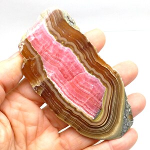 343 Carats Rhodochrosite Stalagmite Slice Cabochon Stalactite Lapidary ...