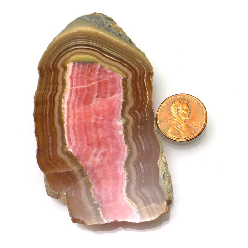 343 Carats Rhodochrosite Stalagmite Slice Cabochon Stalactite Lapidary ...