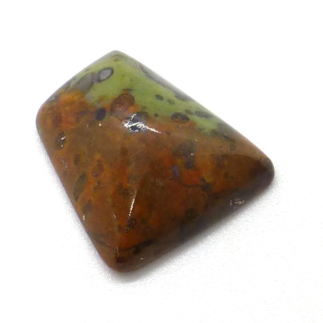 11.975 Carats Dino Poop Coprolite Cabochon Handmade Lisajoy Sachs ...