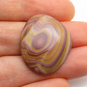 Rainbow Hickoryite Rainbow Rhyolite Hickory Woodgrain Gemstone Natural ...