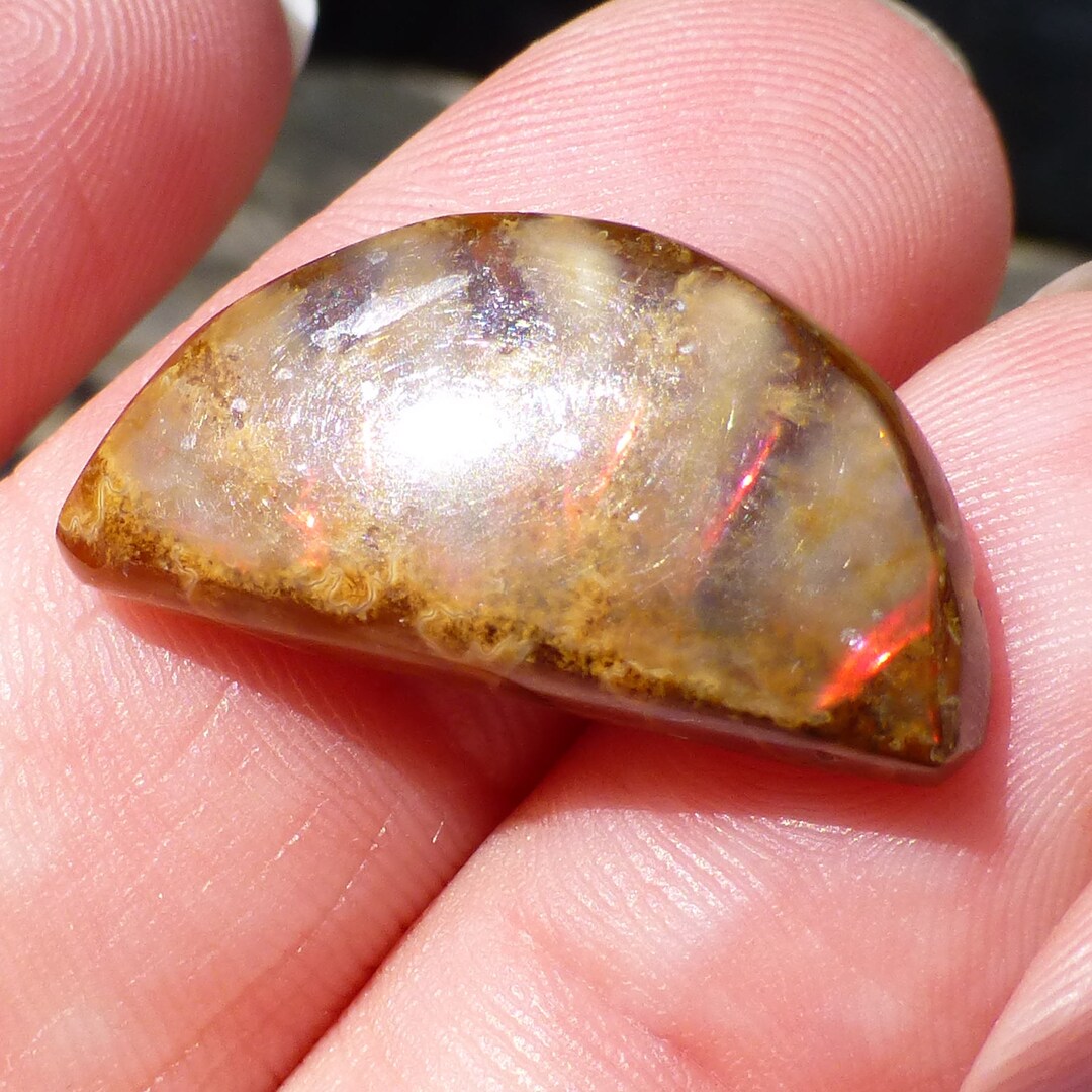 12.53 Carats Sphenodiscus Lenticularis Cabochon Opalized Ammonite ...