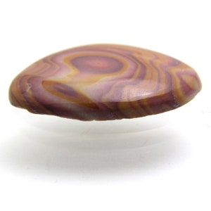 Rainbow Hickoryite Rainbow Rhyolite Hickory Woodgrain Gemstone Natural ...
