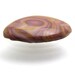 Rainbow Hickoryite Rainbow Rhyolite Hickory Woodgrain Gemstone Natural ...