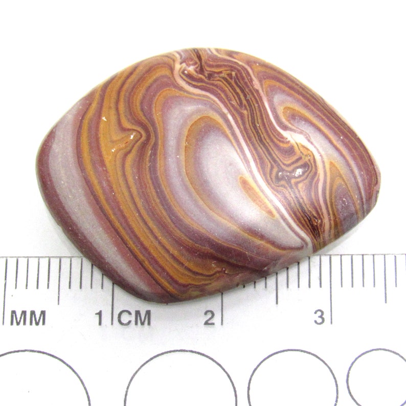 Rainbow Hickoryite Rainbow Rhyolite Hickory Woodgrain Gemstone - Etsy
