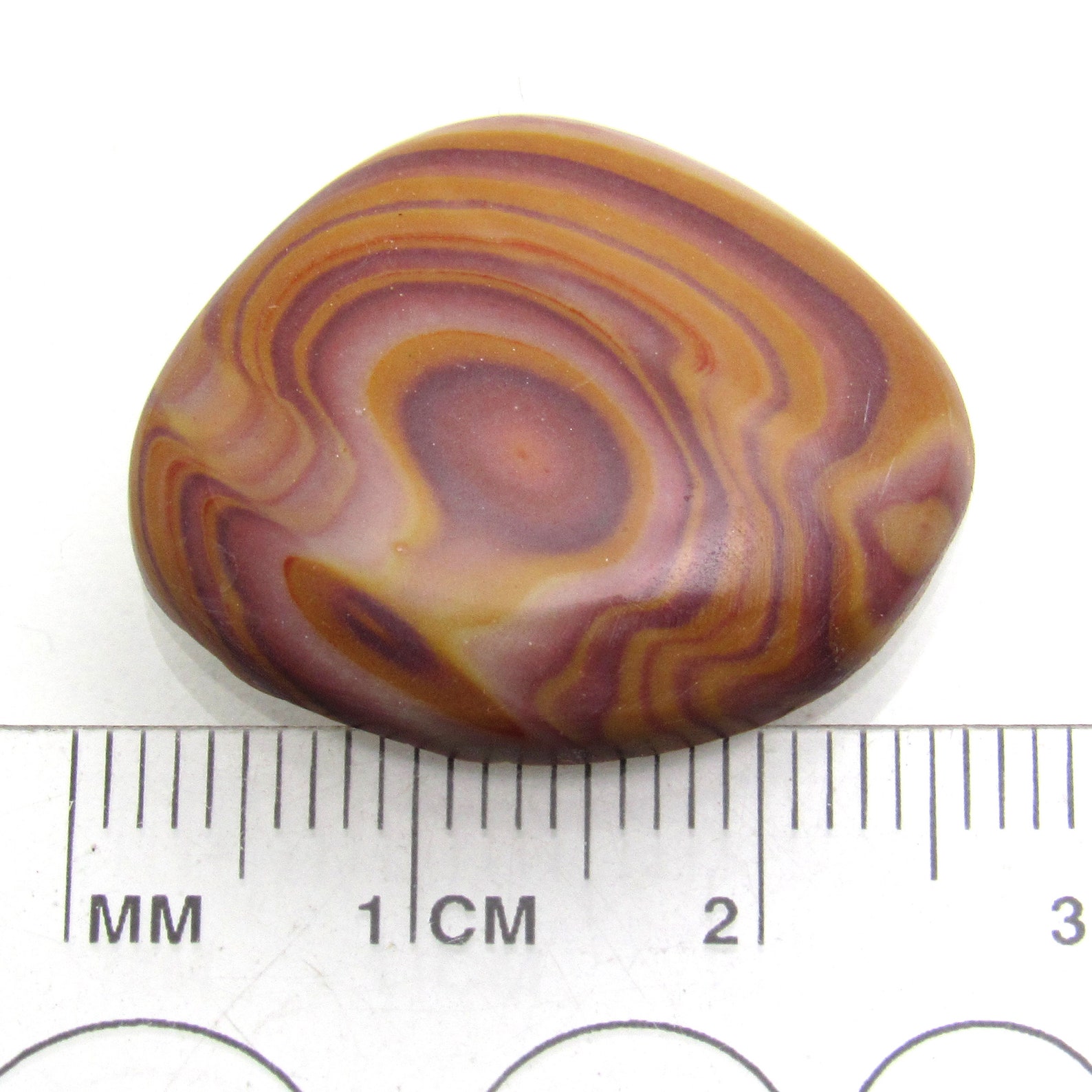 Rainbow Hickoryite Rainbow Rhyolite Hickory Woodgrain Gemstone | Etsy