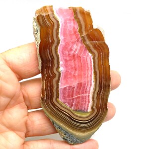 343 Carats Rhodochrosite Stalagmite Slice Cabochon Stalactite Lapidary ...
