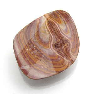 Rainbow Hickoryite Rainbow Rhyolite Hickory Woodgrain Gemstone Natural ...