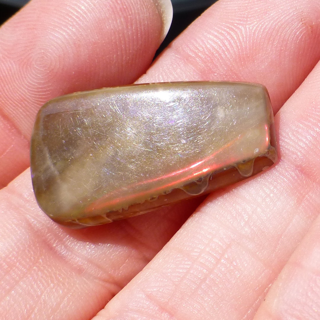14.180 Carats Sphenodiscus Lenticularis Cabochon Opalized Ammonite ...