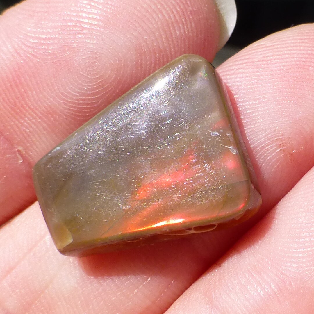 12.330 Carats Sphenodiscus Lenticularis Cabochon Opalized Ammonite ...