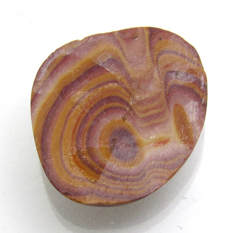 Rainbow Hickoryite Rainbow Rhyolite Hickory Woodgrain Gemstone | Etsy